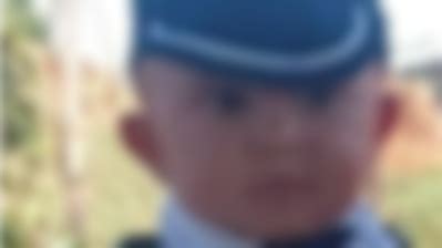 SP menino de dois anos morre após ser picado por cascavel ISTOÉ