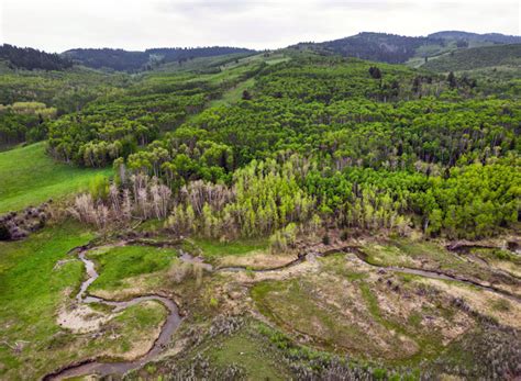 Ncc Expanding Efforts In Porcupine Hills