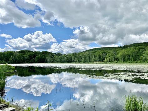 reflection of clouds sky and forest in a lily pond lake stock image
