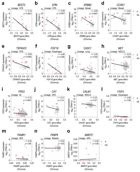 Cancers Free Full Text Analysis Of Cancer Genomic Amplifications