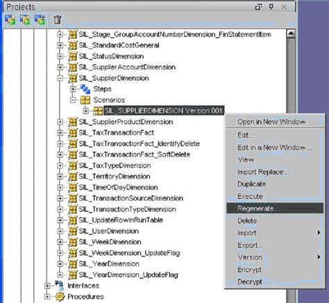 Customizing The Oracle Business Analytics Warehouse