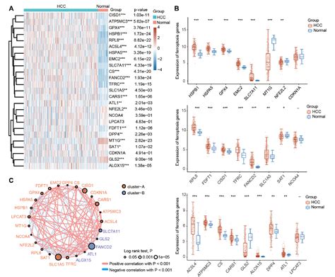 Figure 1 From Development And Validation Of A Novel Ferroptosis Related Gene Signature For