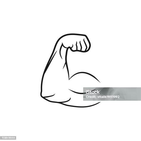 이 두 근 근육 팔 벡터 일러스트 레이 션 라인 스타일과 평면 디자인 근육질 체격에 대한 스톡 벡터 아트 및 기타 이미지
