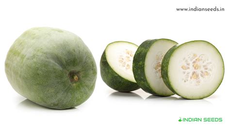 What Is Ash Gourd Complete Guide To Ash Gourd Benefits Indian Seeds