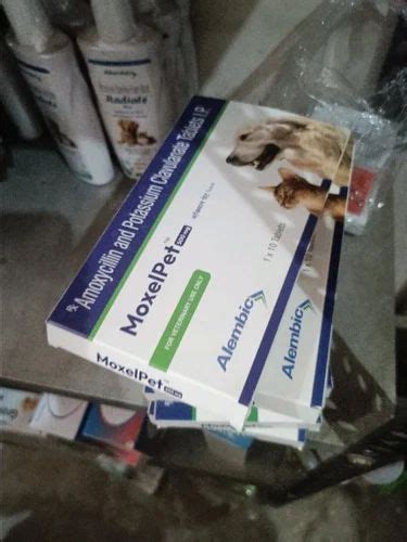 Moxel 4gm Injection At ₹ 445 Moxel Injection In Jabalpur Id 2856571284733