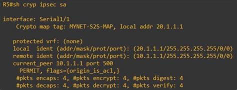 Which Output Of The Show Crypto Ipsec Sa Include Ident Command Is Which Output Of The Show Crypto Ipsec Sa Include Ident Command Is