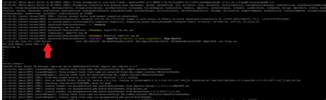 Garbage Collector May Close The Server · Issue 3286 · Spongepowered