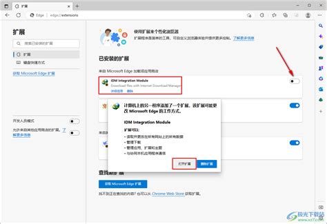 Idm怎么下载网页视频？ Idm下载网页视频的方法 极光下载站