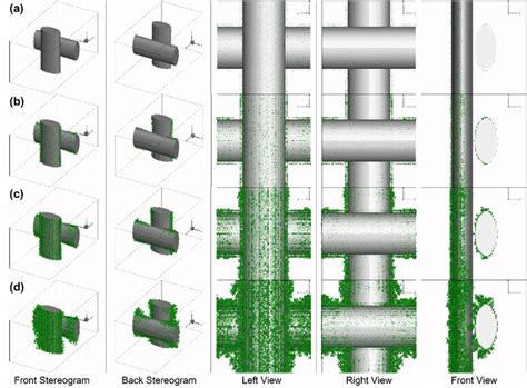 Growth Process Of Dendrite Structures Of Case 2 A Number Of Captured