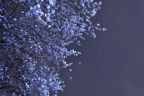 By Nanamura Id Photohito