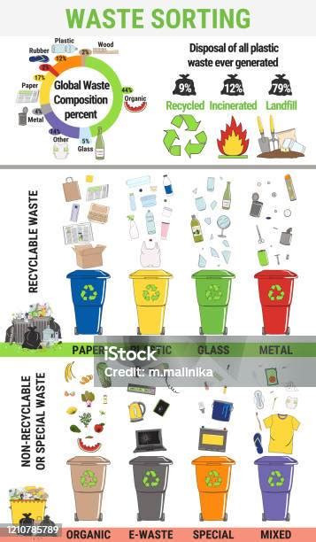 Ilustración De Infografía De Residuos Ordenación De La Basura