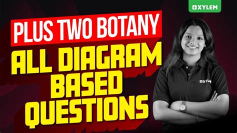 Plus Two Botany All Diagram Based Questions Xylem Plus Two Youtube