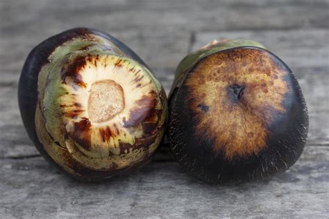 Palmyra Palm Toddy Palm Sugar Palm Ou Cambodian Palm No Fundo Da Mesa