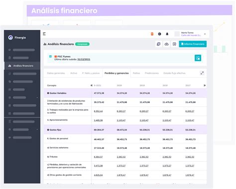 Finergia Análisis Financiero