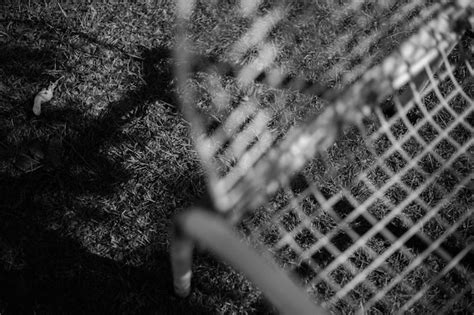 Premium Photo Shadow Patterns