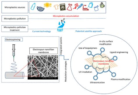 Proposed Pathway Of Micronanoplastic Removal By Electrospun Nanofiber