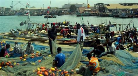 Fisheries Committee For The West Central Gulf Of Guinea Fcwc Is