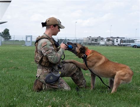 Dvids Images 436 Sfs Prioritizes Mwd Handler Training [image 2 Of 4]