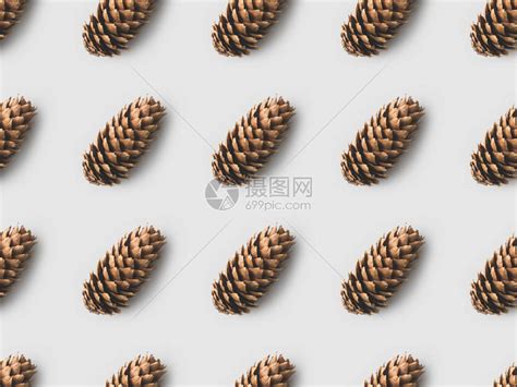 白色表面上的松果图案插画图片下载 正版图片502958823 摄图网