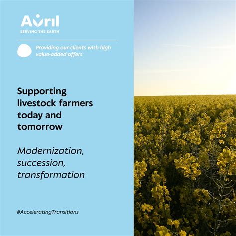 Livestock Agriculture Modernization Decarbonization