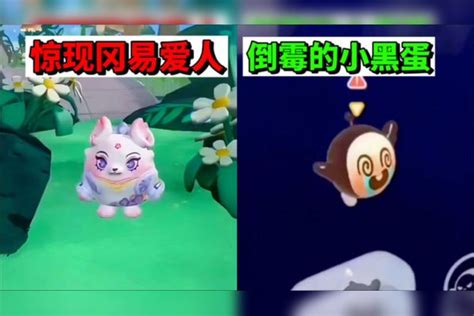 蛋仔派对：巅峰赛惊现冈易爱人，倒霉的小黑蛋