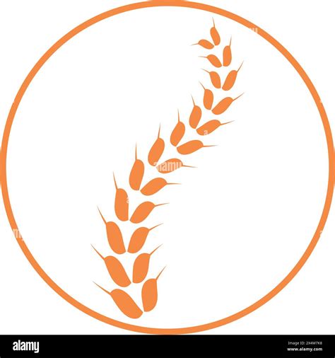Wheat Logo Vector Illustration Symbol Design Stock Vector Image And Art