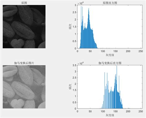 【图像处理】直方图灰度级变换，伽马变换，直方图均衡化，多次均衡化有无变化结果，matlab实现直方图均衡化 改进 Csdn博客