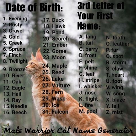 Warrior Cats Name Generator Scratch