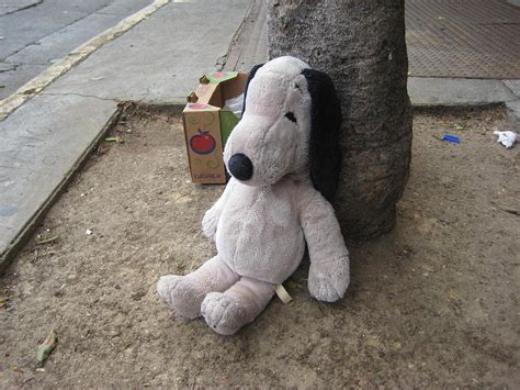 Snoopy Plushie Down And Out In San Francisco Photograph By David