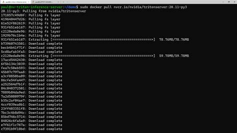 Module 14 Deploy Model To Nvidia Triton Inference Server Machine Learning On Azure
