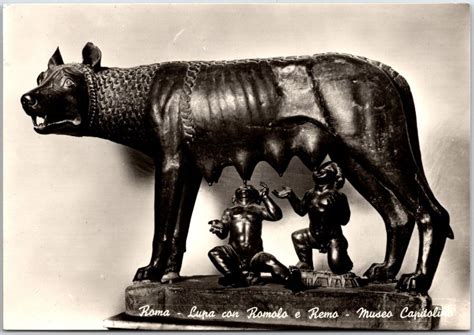 Roma Lupa Con Romolo E Remo Museu Capitolino Italy Real Photo RPPC