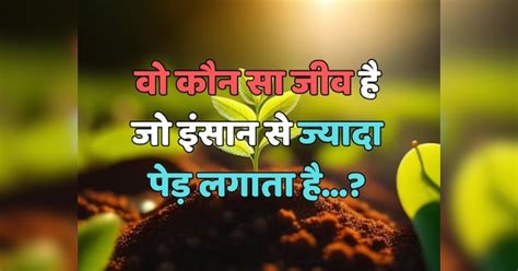 Trending Quiz वो कौन सा जीव है जो इंसानों से ज्यादा पेड़ लगाता है