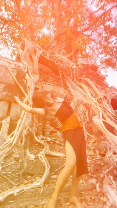 Tryptamine 2 Youtube