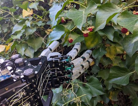a democratized bimodal model of research for soft robotics integrating