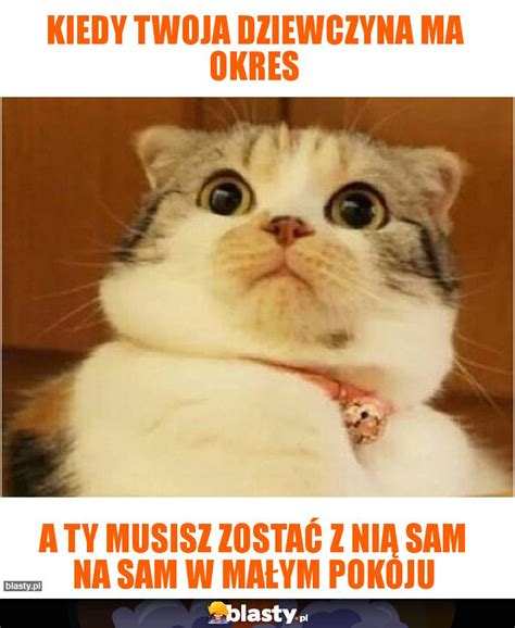 Kiedy Twoja Dziewczyna Ma Okres Memy Gify I Mieszne Obrazki Facebook