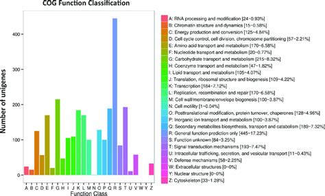 Histogram Of Cog Classifications 2583 Degs Were Grouped Into 24 Cog