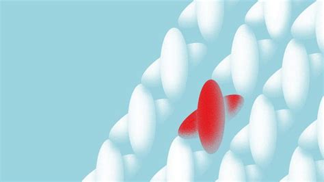 Optimizing Mrna Purification Technology Networks