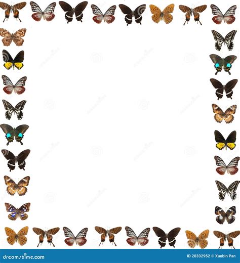 Butterfly Frame Greetint Card Royalty Free Illustration