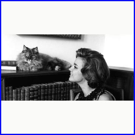 Magic Mac I Love My Cat Ilaria Occhini