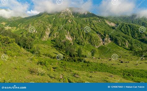 Gorgit Highland With Old Houses And Green Valley In Blacksea Region