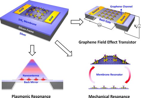 Graphene Field Effect Transistor And Its Application For Electronic