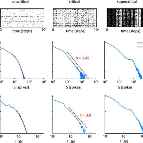 Network Architecture A Recurrent Network With Excitatory Neurons Download Scientific Diagram