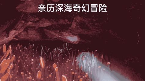 2021戛纳XR互动沉浸影像展南昌站门票 时间票价 在线订票 看看票务