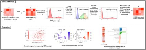Speck Method Speck Performs Normalization Rank Selection Reduced Download Scientific Diagram