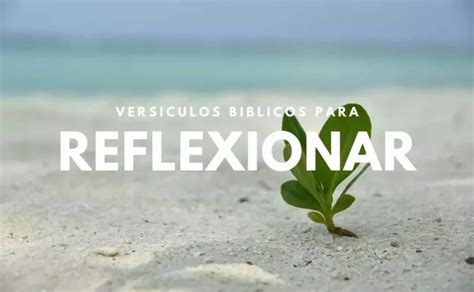 50 Versículos Para Reflexionar Y Meditar La Palabra De Dios