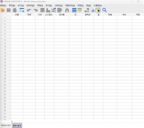 spss 통계분석 1 설문조사 파일 spss 프로그램에 코딩하기