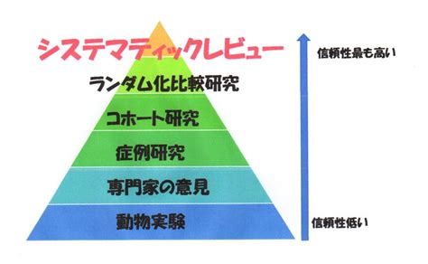 システマティックレビューとは？ フッ素・こどもと未来