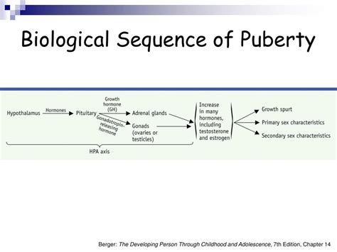 Ppt Adolescence Biosocial Development Powerpoint Presentation Free