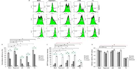Knockdown Efficiency And Cell Viability Of Lipoplex And Polyplex With