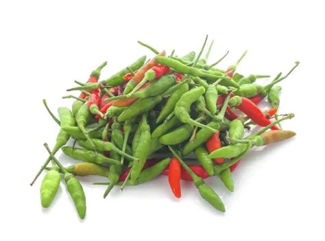 Health Benefits Of Birds Eye Chilli Kanthari Mulaku Spicy Ktichen